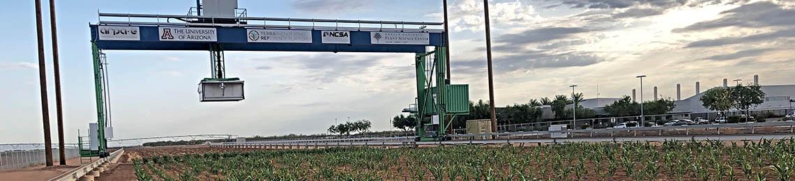 Plants, Robots, and Other Interesting Things | CyVerse