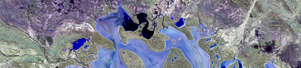 As Seen From Space: How Satellites, Software, and Open Science Can Scan ...